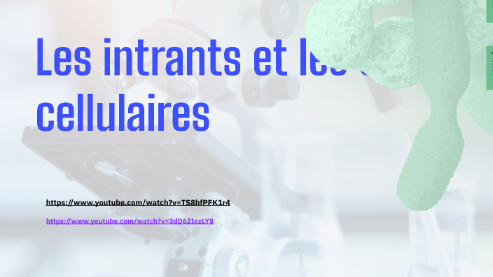 Les intrants et les extrants cellulaires by moni mantag on Prezi