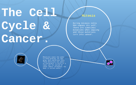 The Cell Cycle & Cancer. by on Prezi