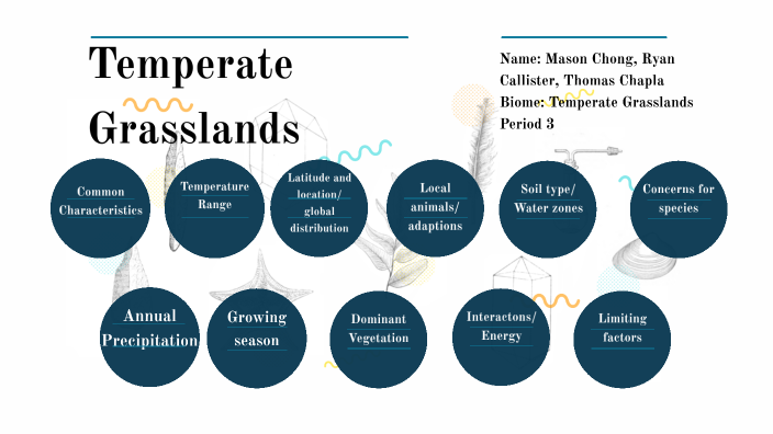 Temperate Grasslands by Mason chong