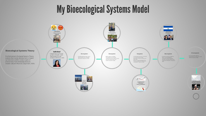 My Bioecological Systems Model by Arly Romero on Prezi