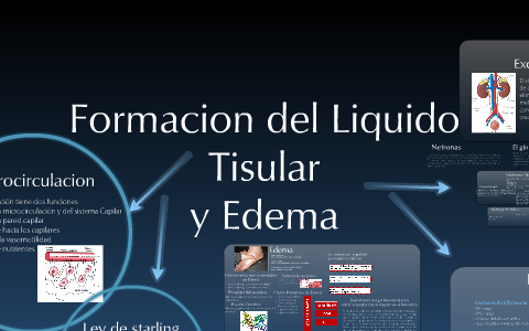 Formacion del Liquido Tisular y Edema by vanessa moya on Prezi