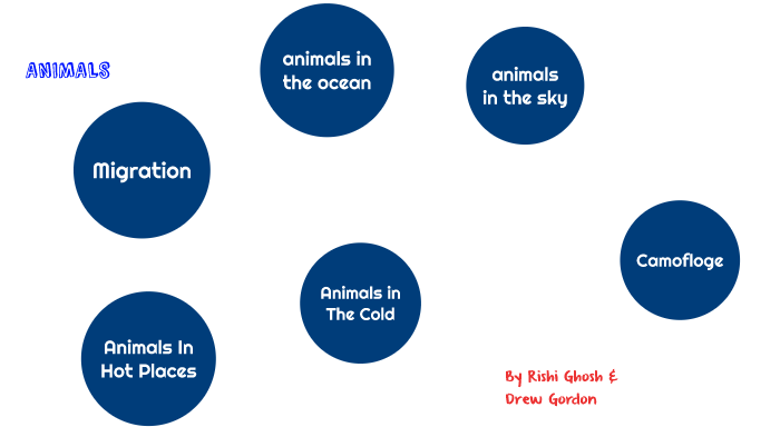 animals by Rishi Ghosh on Prezi