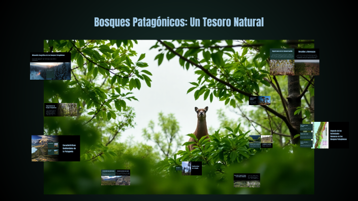 Bosques Patagónicos: Un Tesoro Natural by Zoe Abigail Vidal on Prezi