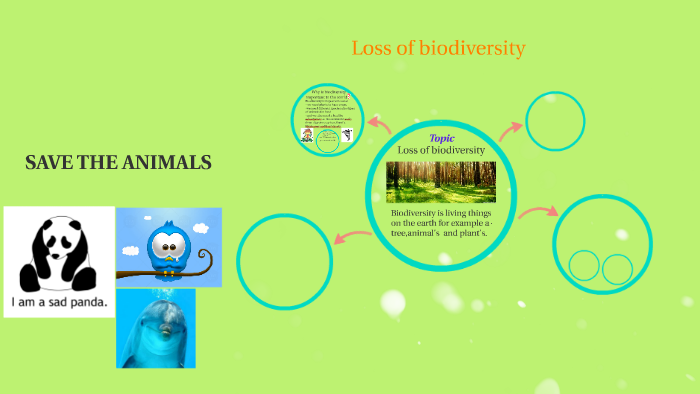 Loss of biodiversity by pavel semik