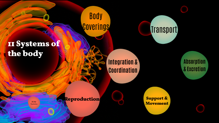 11 Systems of the body by Allison Luther on Prezi
