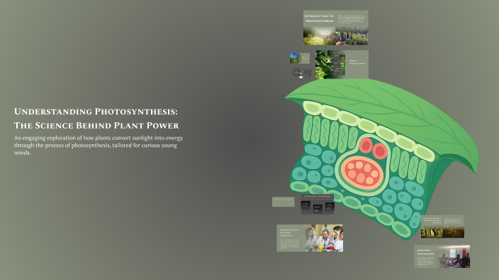 Understanding Photosynthesis: The Science Behind Plant Power by Purva ...