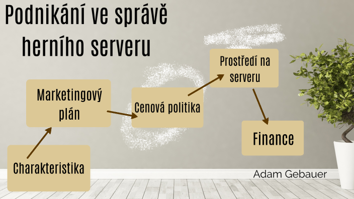 Podnikání ve správě herního serveru by Adam Gebauer on Prezi
