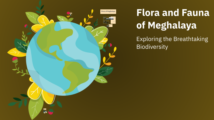 Flora and Fauna of Meghalaya by Sameer on Prezi