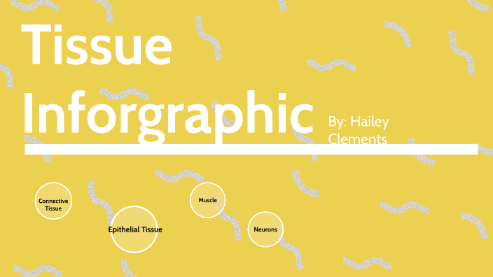 Tissue Infographic by Inviolateharpy on Prezi