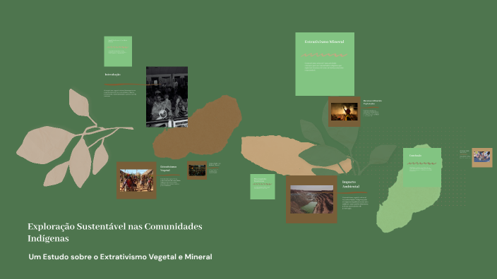 Estrativismo Vegetal e Mineral nas Comunidades Indigenas by emily klock ...