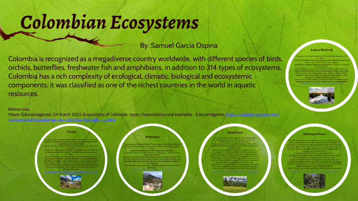 Colombian Ecosystems by Jesica Andrea García Ospina on Prezi