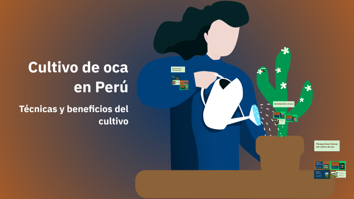 Cultivo de oca en Perú by Jose Huamán on Prezi