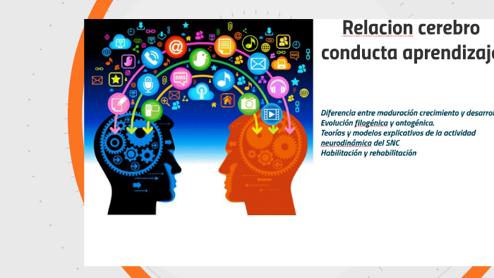 Relacion cerebro conducta aprendizaje by Carolina Lucero on Prezi