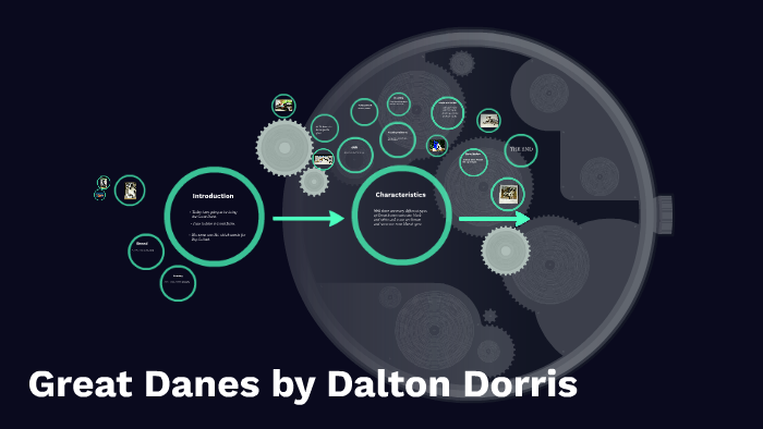 Great Dane by Dalton Dorris by MINDI DORRIS on Prezi