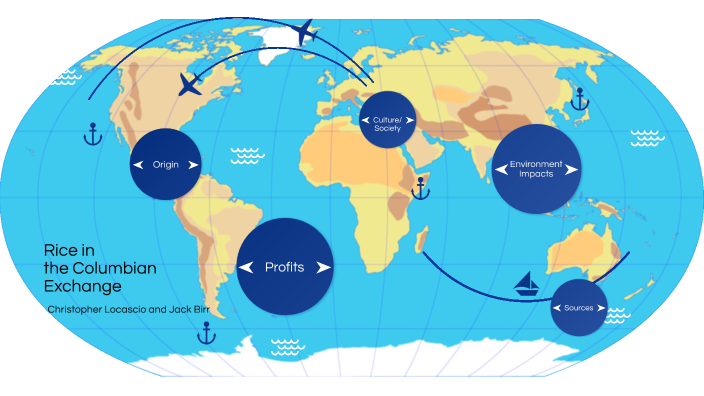 Rice In The Columbian Exchange by CHRISTOPHER LOCASCIO on Prezi