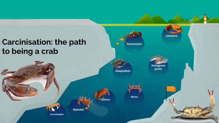 Carcinization: path to being a crab by Yousef Helal on Prezi