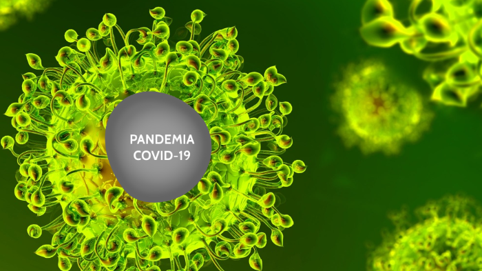 presentazione compito informatica by Alice Marchetti on Prezi