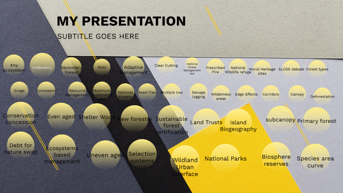 APES CH. 12 Presentation by William Rivers on Prezi