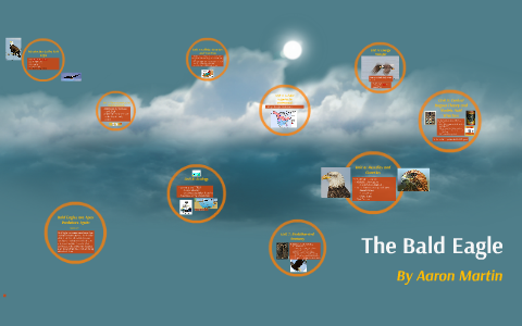 Biology Project: The Bald Eagle by Aaron Martin on Prezi