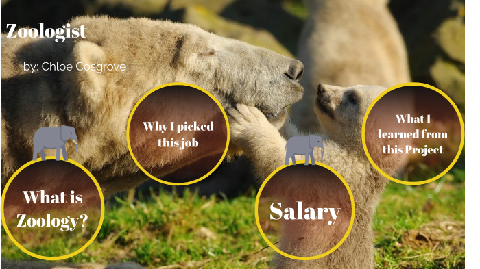 Chloe Cosgrove Zoologist Career by chloe cosgrove on Prezi