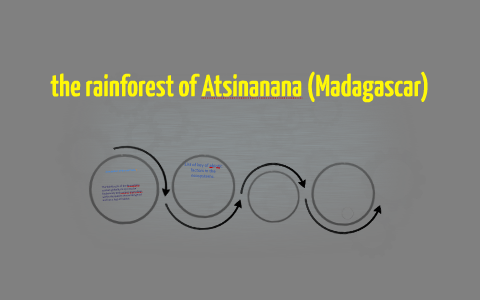 the rainforest of Atsinanana (Madagascar) by on Prezi