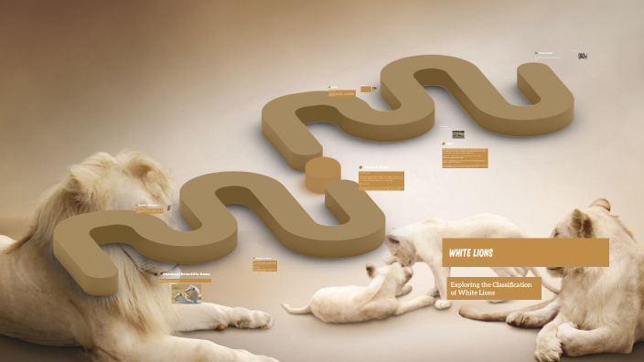 Classification of White Lions by Takerra Dent on Prezi