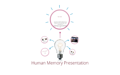 Human Memory Presentation by Lena Kitselman on Prezi