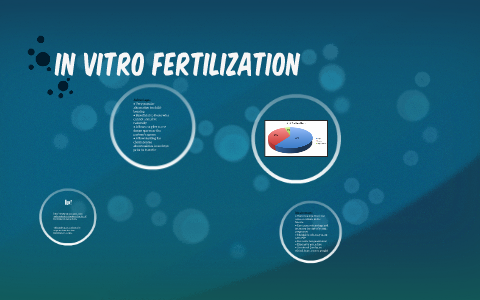 In Vitro Fertilization by alex blacquiere