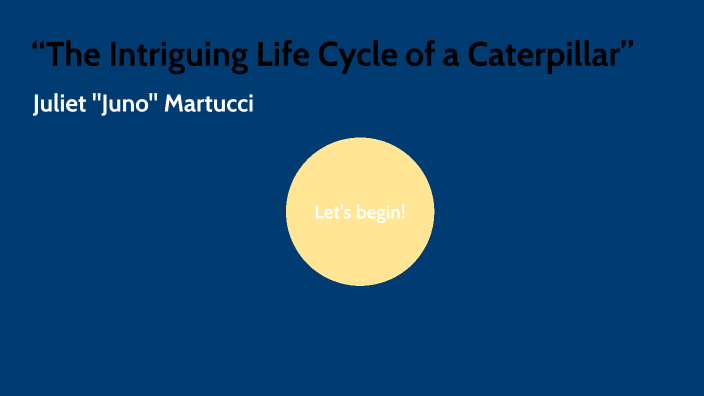 “The Intriguing Life Cycle of a Caterpillar” - Final by Neptune of ...