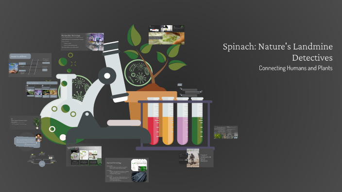 Bioengineered Spinach: Nature's Landmine Detectives by Ben Brucato on Prezi