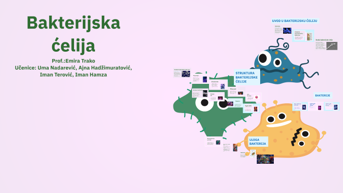 Bacterial Cell by Iman Hamza on Prezi