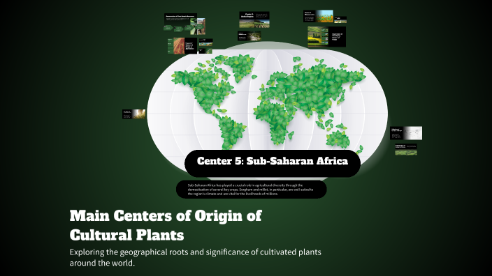 Main Centers of Origin of Cultural Plants by диана влада вика on Prezi