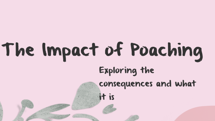 The Impact of Poaching by Sophia He on Prezi