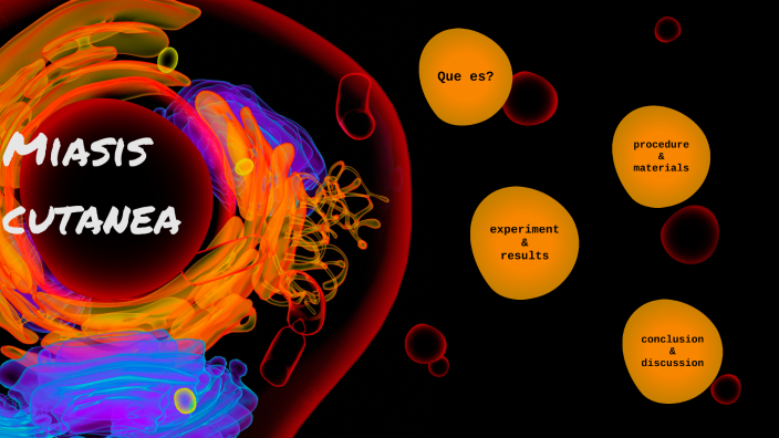 Miasis cutanea by Victoria Andrada Argañaraz on Prezi