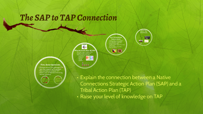 The SAP to TAP Connection by Sarah S. Pearson on Prezi