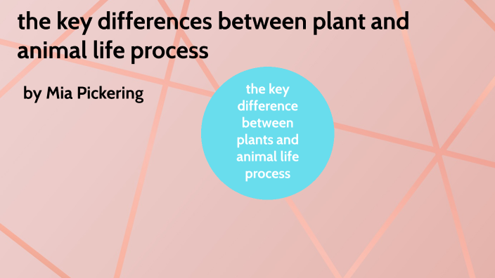 the key differences between plant and animal life process by mia ...