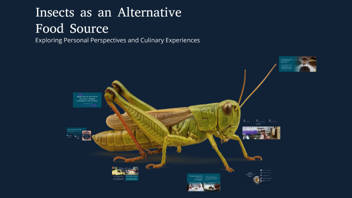 Insects as an Alternative Food Source by Martin Oe on Prezi