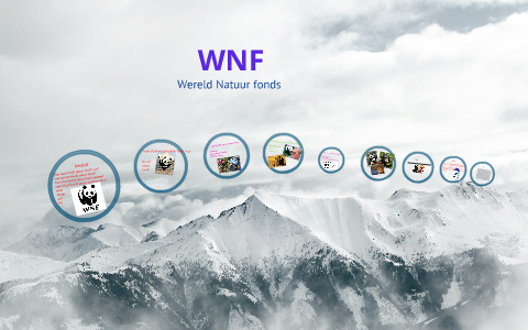 WNF by thomas berkelmans on Prezi