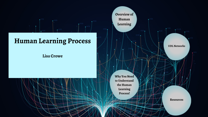 Human Learning Process by Lisa Crowe on Prezi