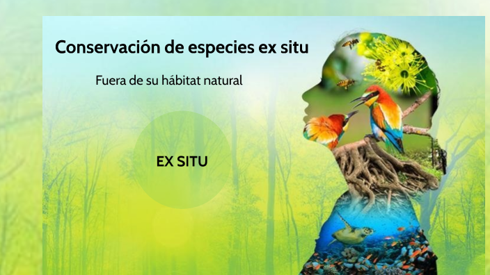 Conservación de especies ex situ by MIREYA PINTADO on Prezi