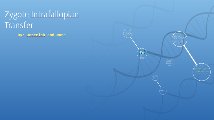 Zygote Intrafallopian Transfer by Marc Marques on Prezi