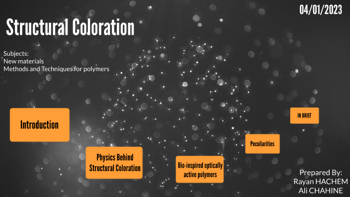 Structural Coloration by Rayan Hashem on Prezi