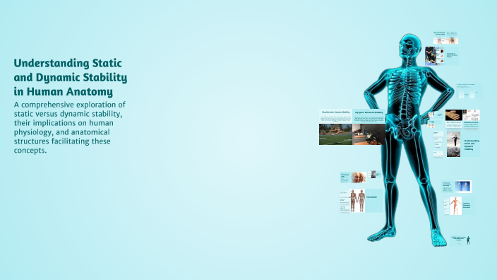 Understanding Static and Dynamic Stability in Human Anatomy by Furqan ...