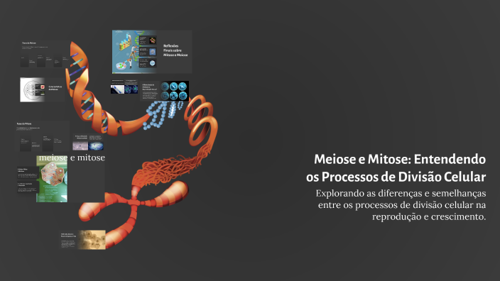 Meiose E Mitose Entendendo Os Processos De Divisão Celular By Lucas