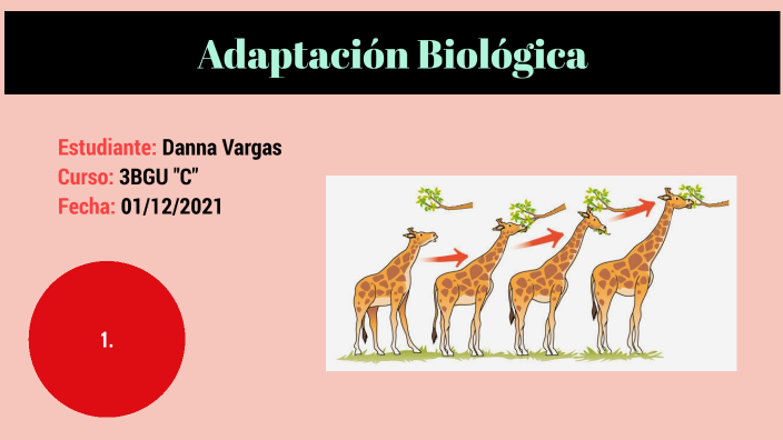 Adaptación Biológica by Romina vargas on Prezi