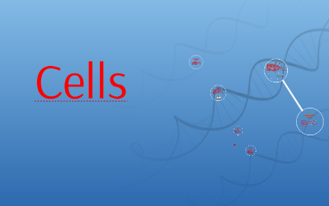 Cells Project by Adryana Minooe on Prezi