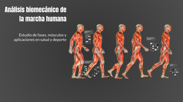 Análisis biomecánico de la marcha humana by Hugo Colina Sebastián on Prezi