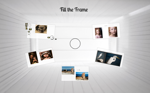 Filling the Frame by James Jih