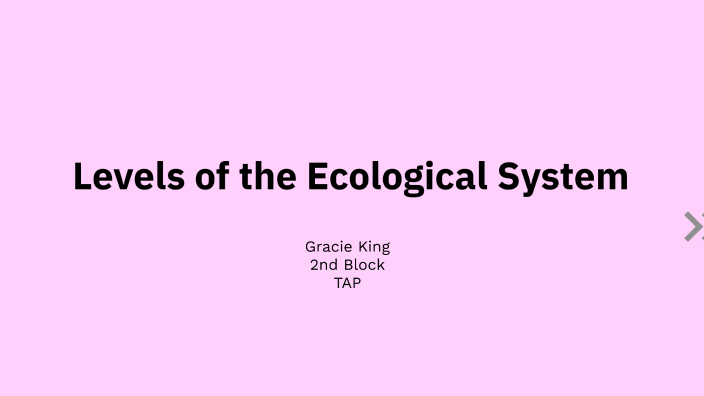 Levels of the Ecological System by Grace King on Prezi