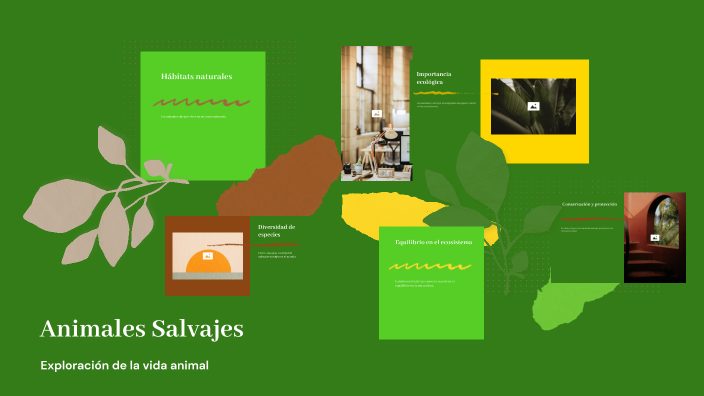 Animales Salvajes by James Romero Algarín on Prezi